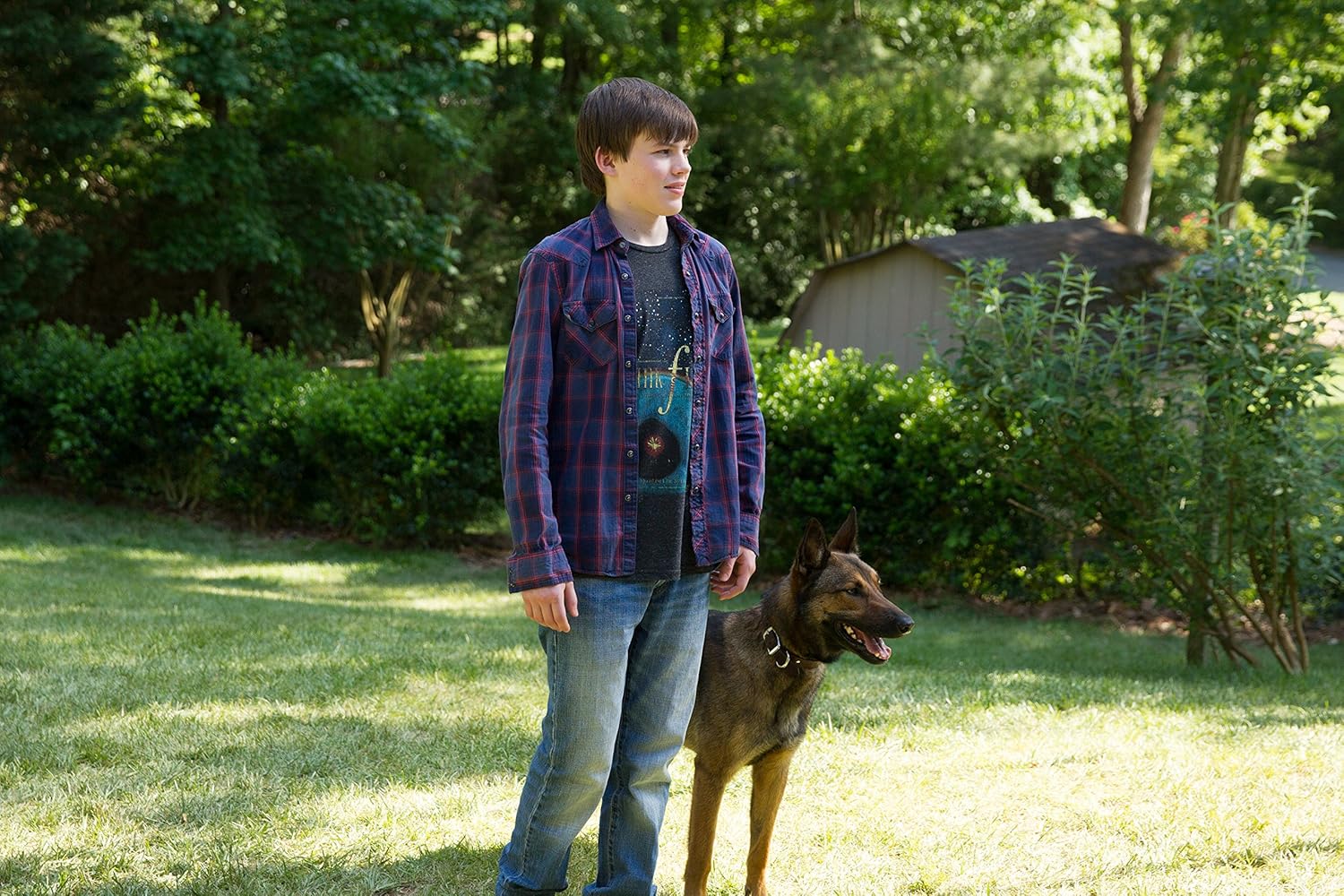 Max – Bester Freund. Held. Retter. | Film-Rezensionen.de